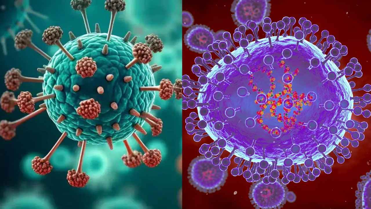 HMPV Virus: Symptoms, Contagious Period, Treatment, And Recovery Time ...